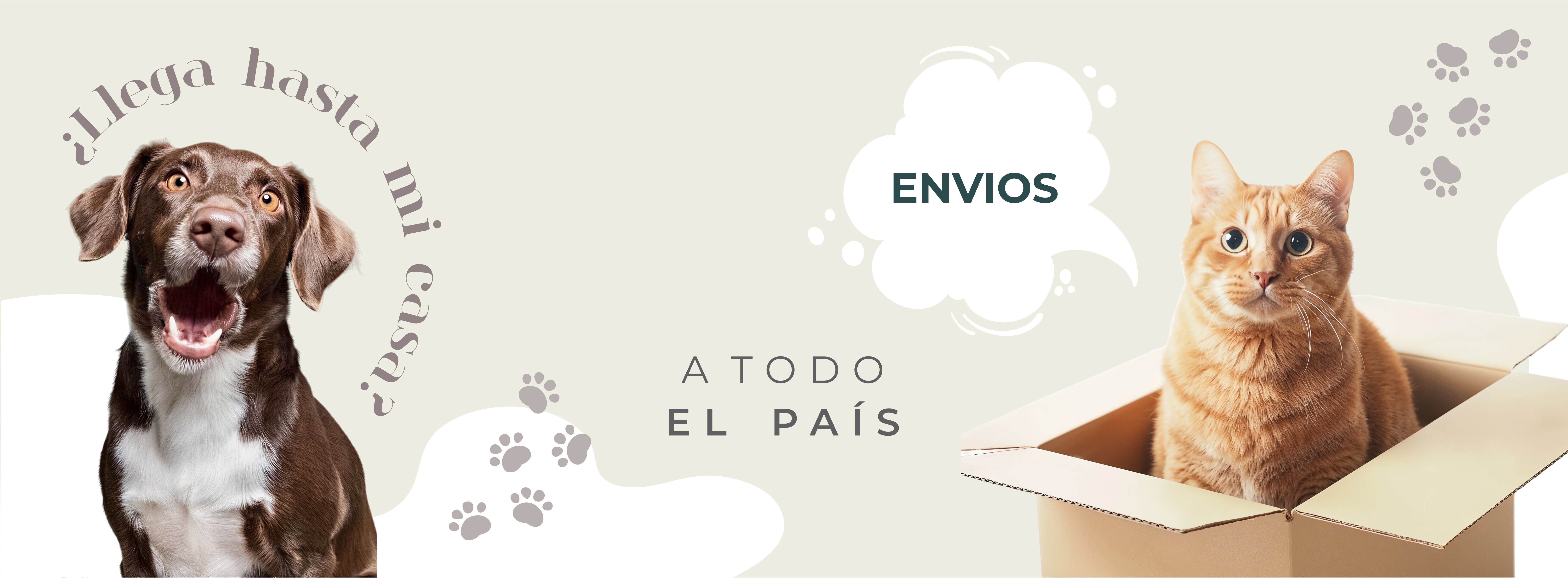Punky Pet - Estilo punk para el mundo pet