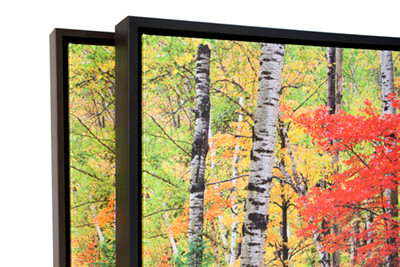 About the artwork | Andrew Collett Photography