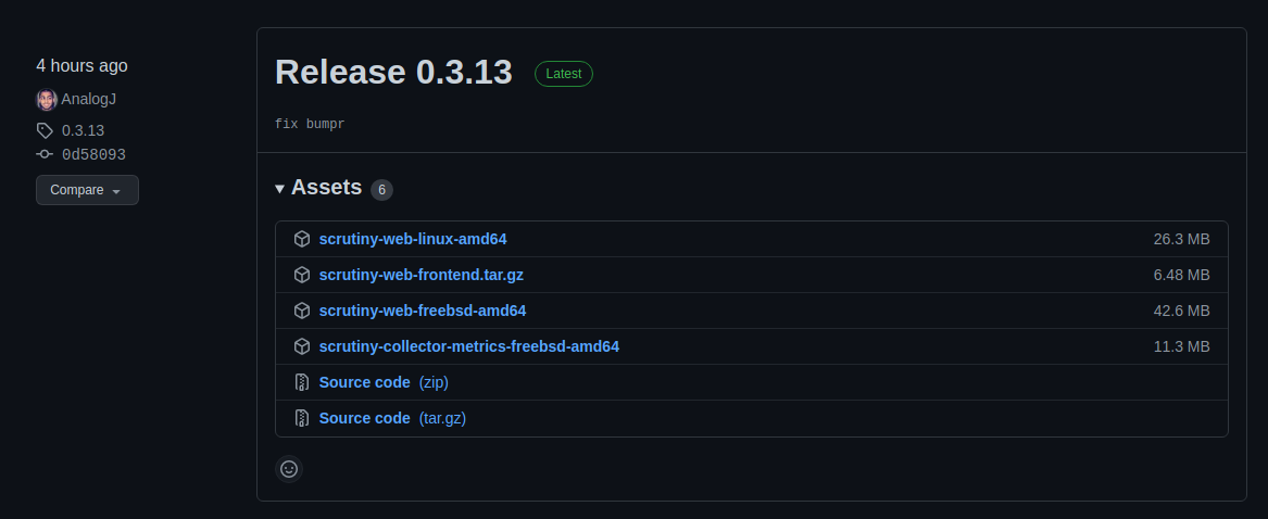 [BUG] Release binary missing? · Issue #198 · AnalogJ/scrutiny · GitHub