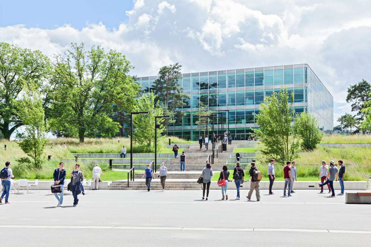 Neue Hochschule für Informatik braucht eine Direktion