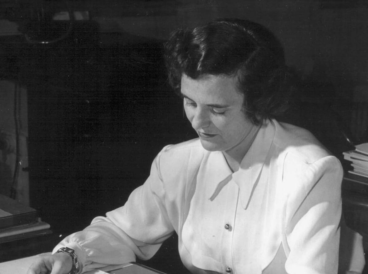 Vor 121 Jahren: Computer-Pionierin Mina Rees ist geboren