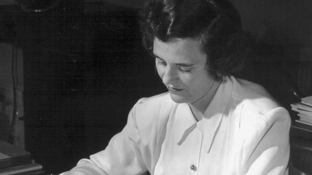 Vor 121 Jahren: Computer-Pionierin Mina Rees ist geboren