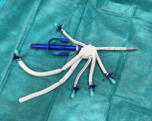 Neue Aortenprothese − auch für Hochrisikopatienten