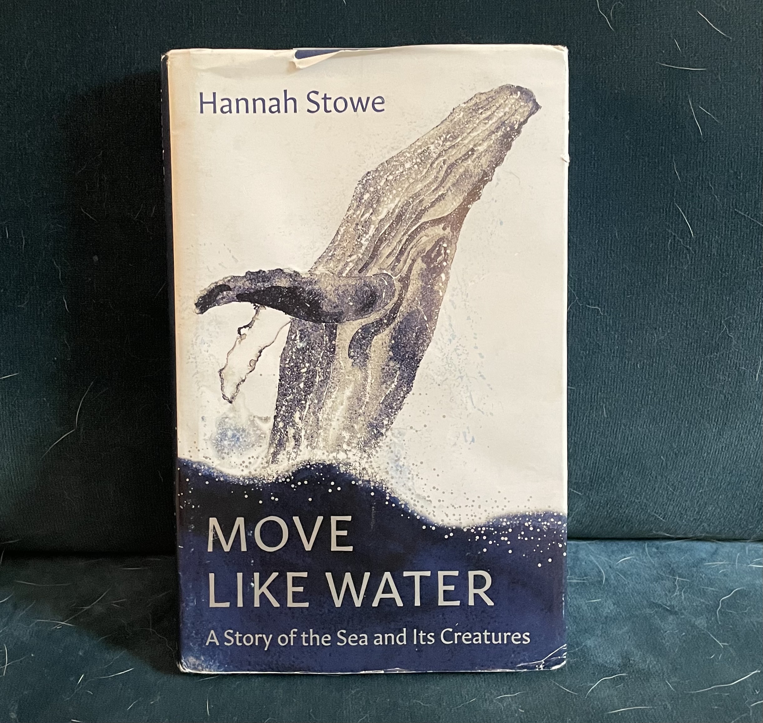 "Move Like Water: Story of the Sea and Its Creatures" von Hannah Stowe ...