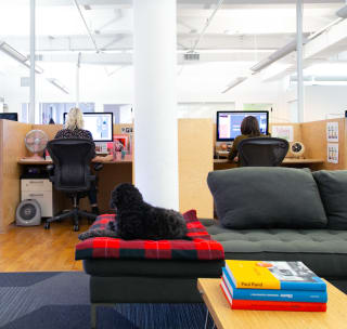 Studios | Chase Design Group