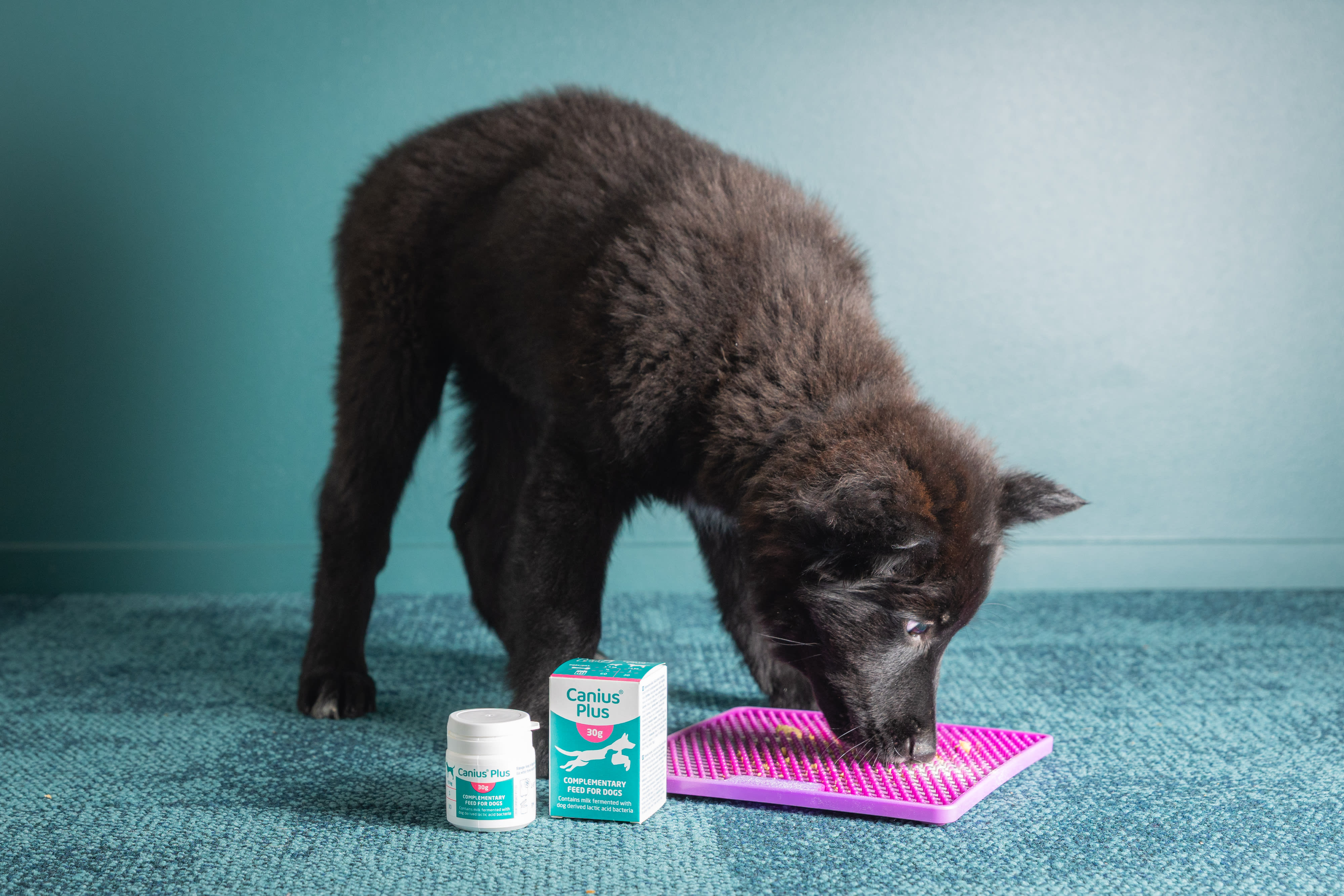 Vetcare´s products | Vetcare