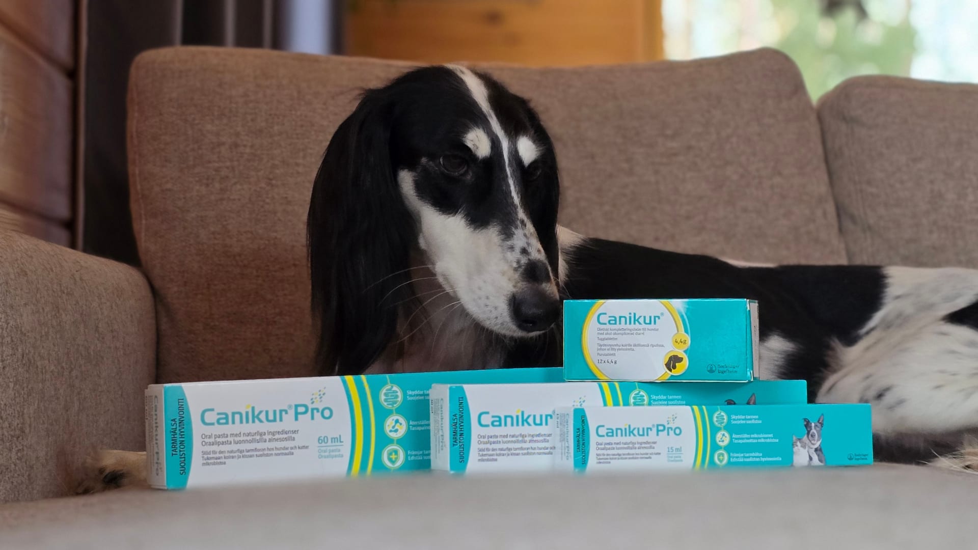 Canikur ja Canikur Pro tuoteperhe | Vetcare
