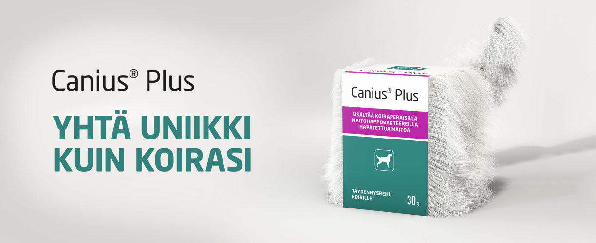 Canius Plus - yhtä uniikki kuin koirasi ruokavalio | Vetcare