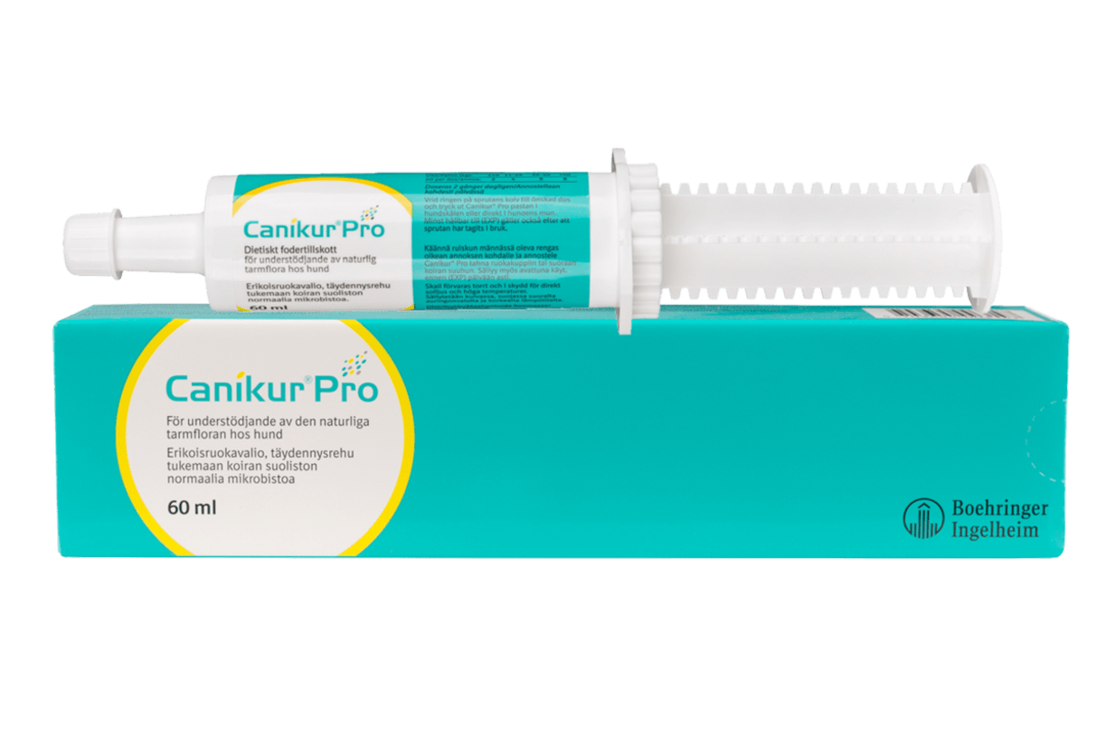 Canikur® Pro pasta täydennysrehu 60 ml - Vetcare | Vetcare