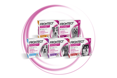 Canikur ja Canikur Pro tuoteperhe | Vetcare