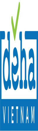 BLOG | DEHA VIETNAM | IT Consulting Services - Vietnam Leading Digital ...