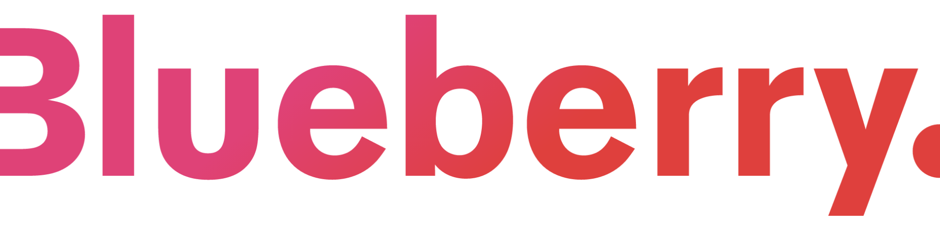 Blueberry | Software company in Mexico