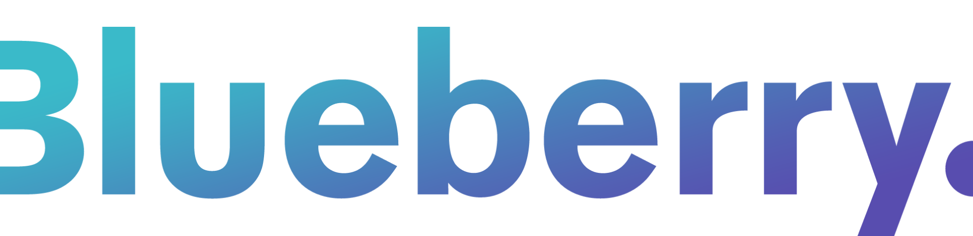 Agencia de publicidad | Blueberry | Ecommerce