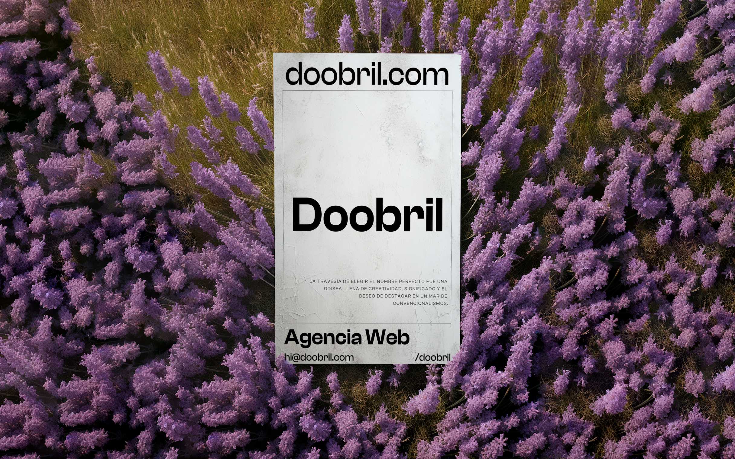 do! brilla: la inspiracion detras del significado | Doobril