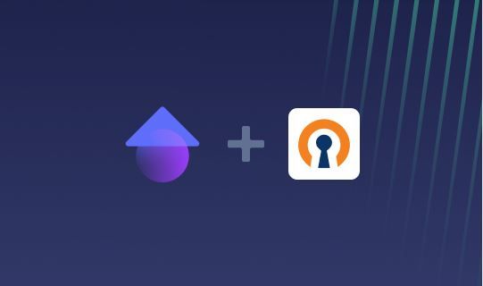 OpenVPN Proxy How To Guide [2023 Updated]