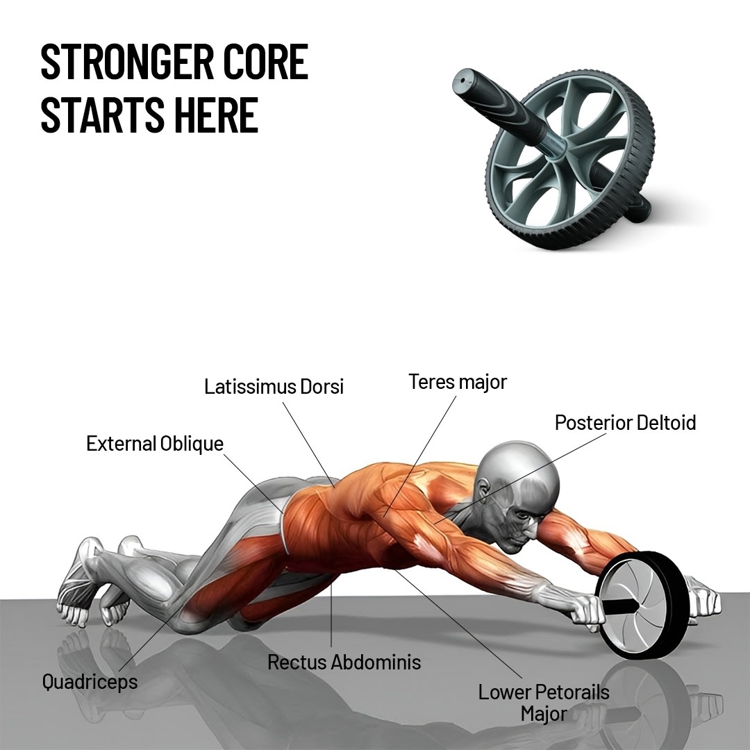 Axox Fitness Ab Roller Exercise Wheel - Axox Fitness