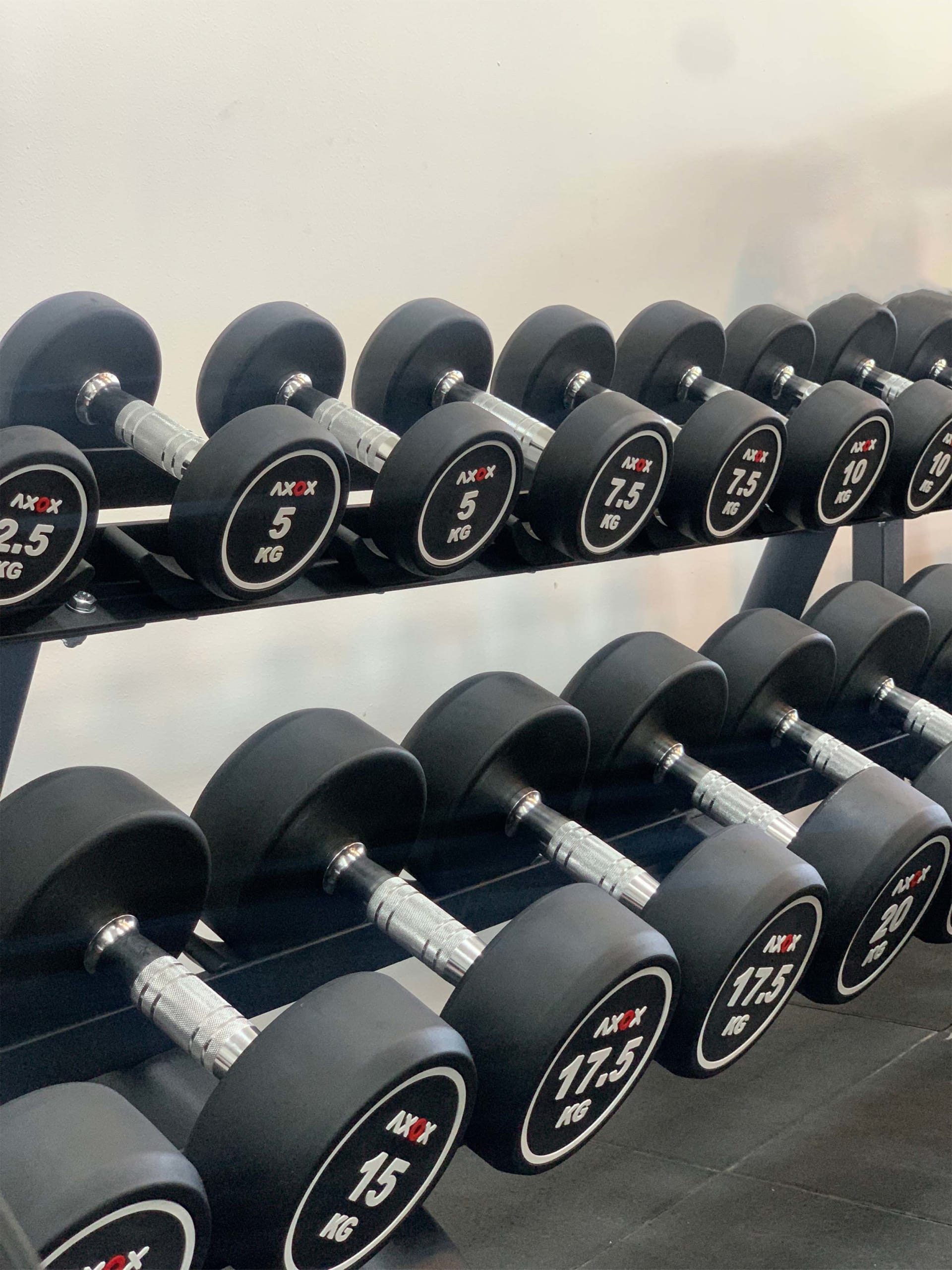 Axox Round Dumbbell Set 2.5-25 Kg | Axox Fitness