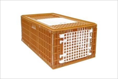 Countryside Feeders Limited