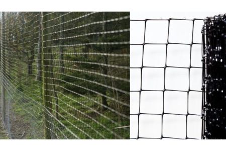 Countryside Feeders Limited