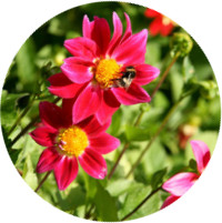 Dynamically Generate Visual Image Effects and Enhancements | Cloudinary