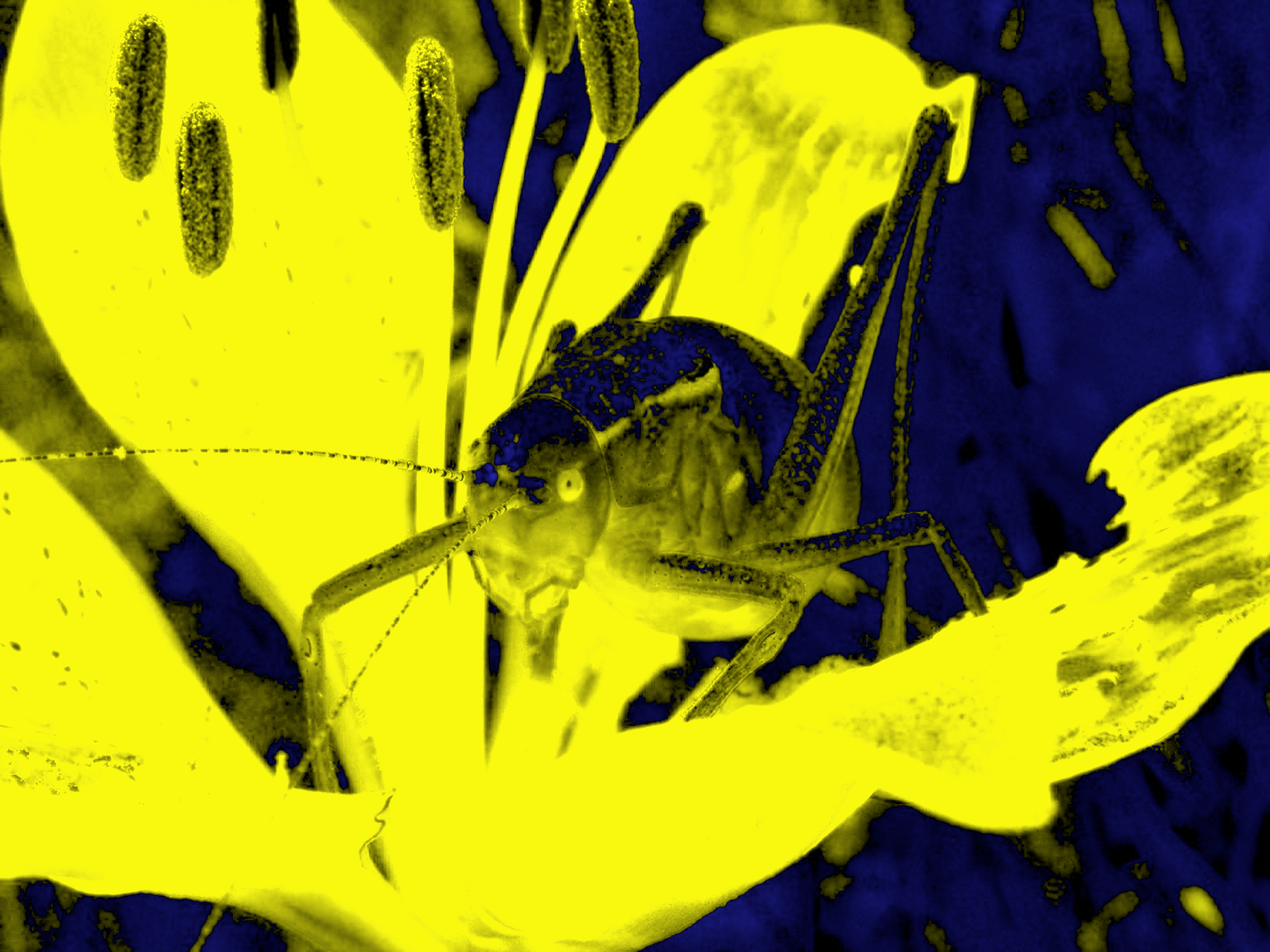 Visual and Audio Clarity | Documentation
