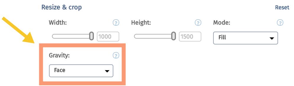 Developing And Using Named Transformations With Cloudinary Images And Videos Cloudinary Support
