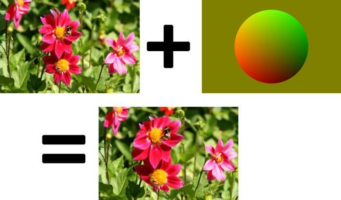 Dynamically Generate Visual Image Effects and Enhancements | Cloudinary