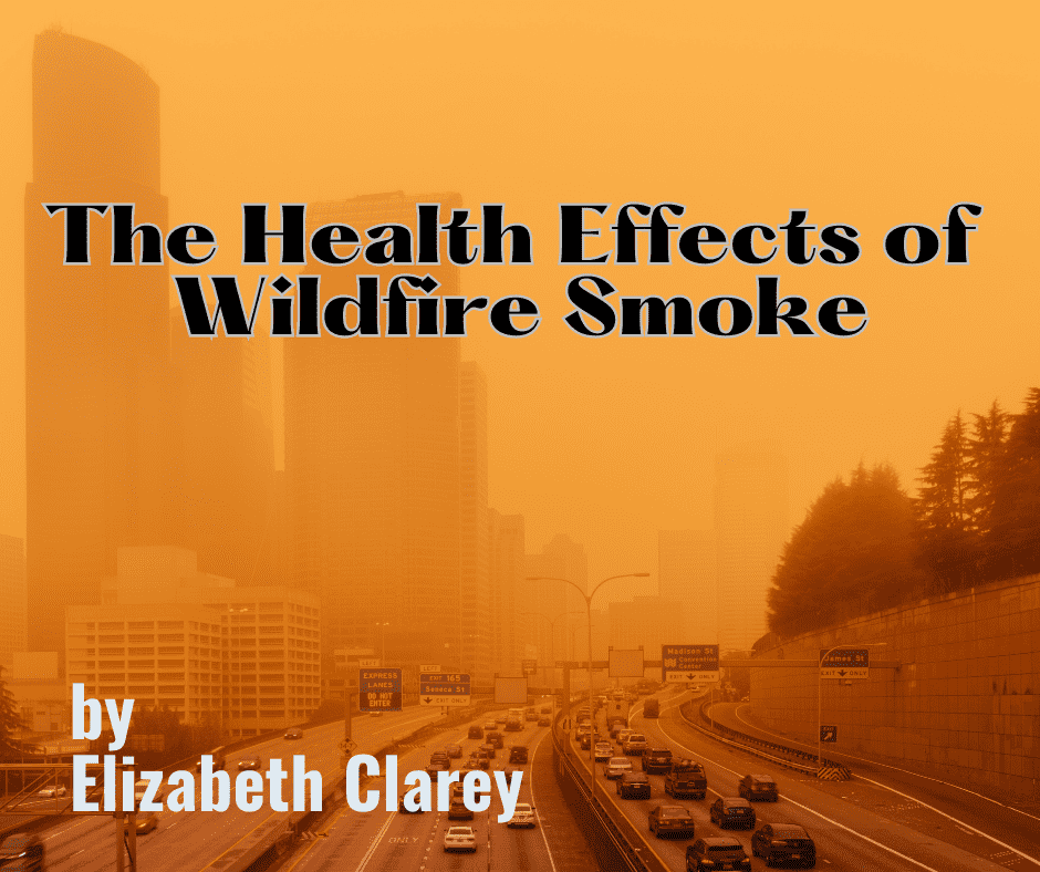 The Health Effects of Wildfires - by Dana Freling