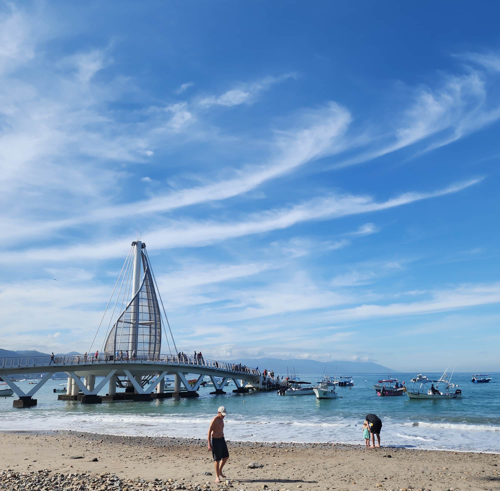 Costa Banderas - Democrats Abroad