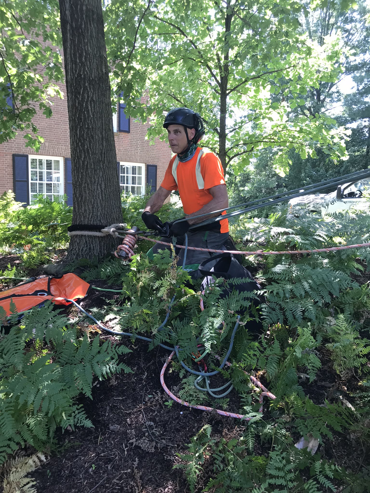 IMG_5129 - Metropolitan Forestry Services, Inc.