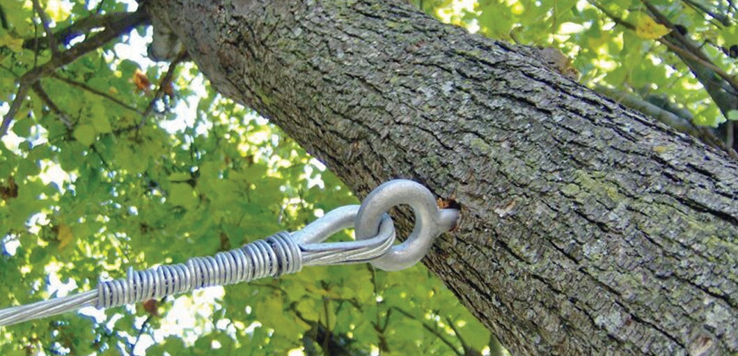 Tree Maintenance - Metropolitan Forestry Services, Inc. Tree Maintenance - Metropolitan Forestry Services, Inc.