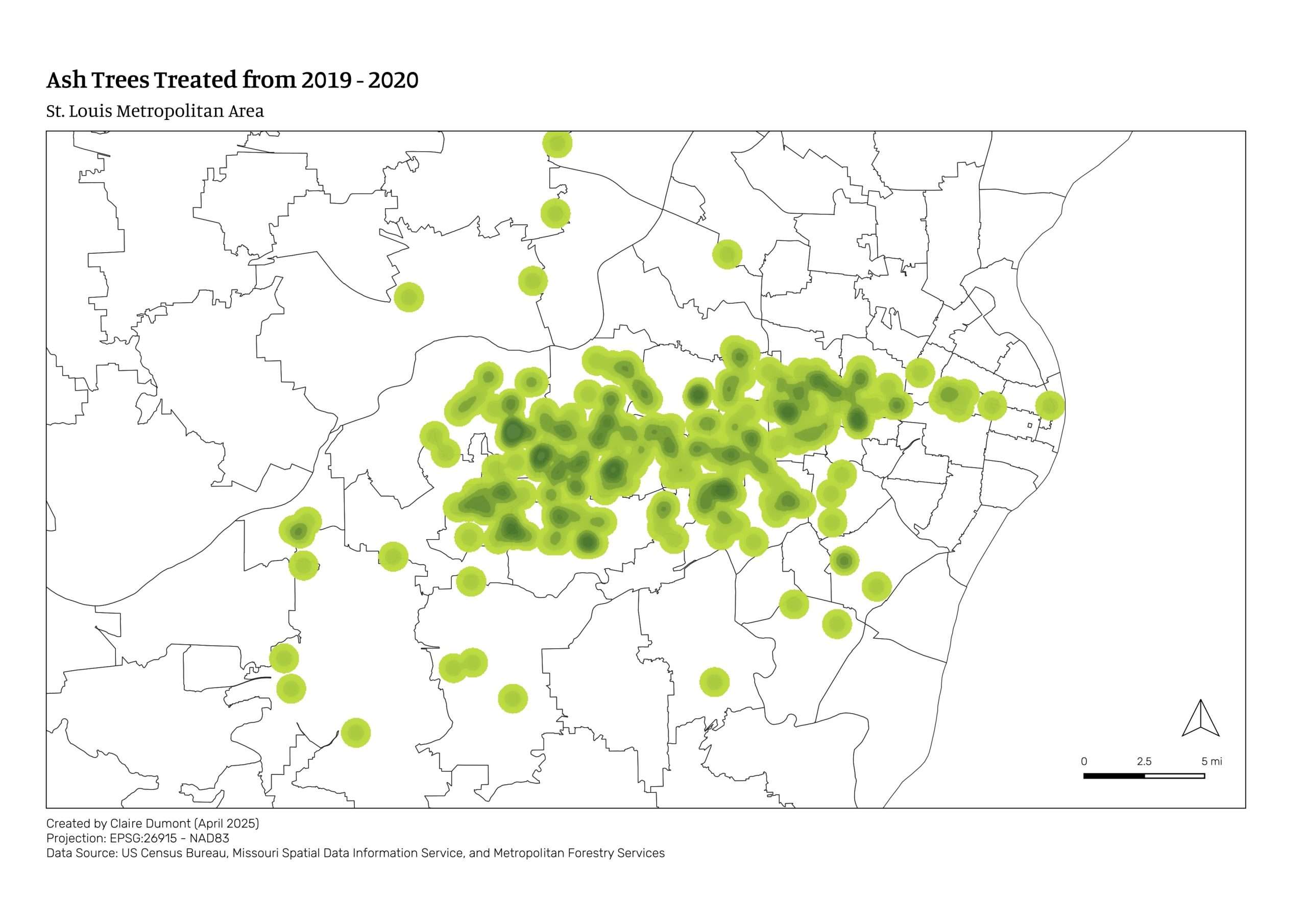Ash Tree Problems - All Things Ash