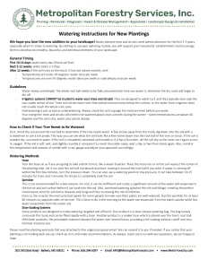 Watering Your New Plants - Metropolitan Forestry Services, Inc.