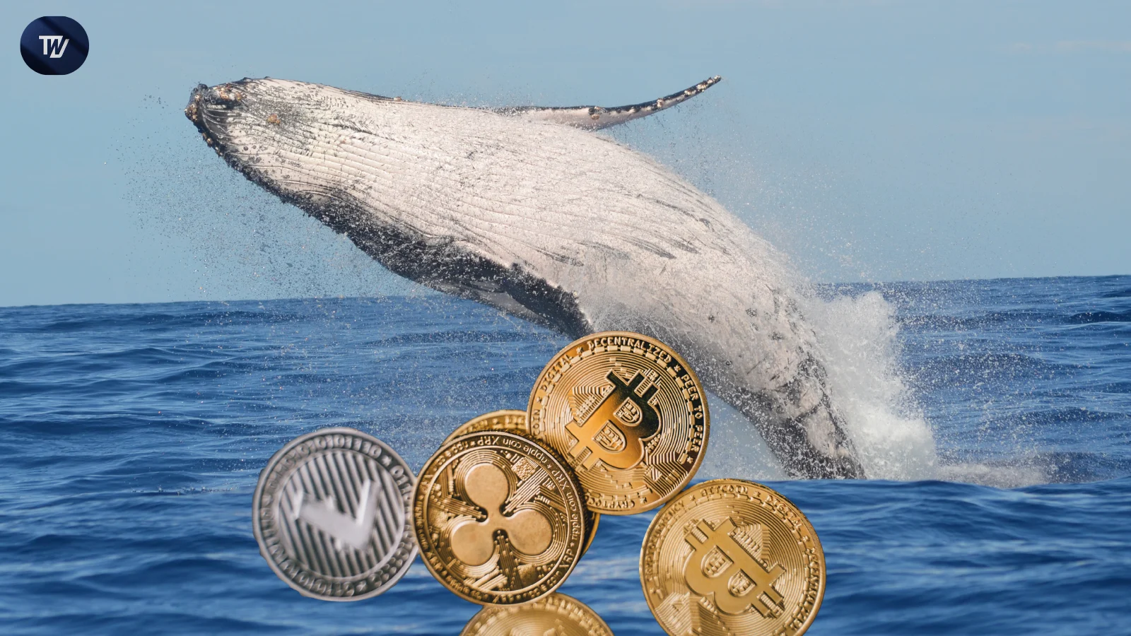 Crypto Whale Suffers $18.6M Loss After Leveraged Short Bets Go Wrong