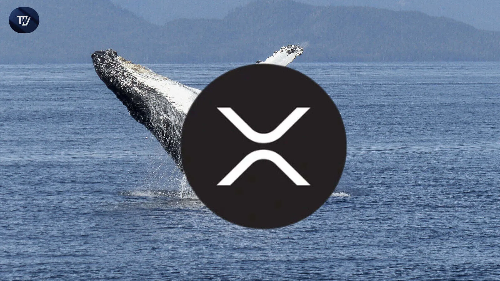 2,700+ XRP Whale Wallets Signal Breakout: Ripple’s New Patent Adds ...