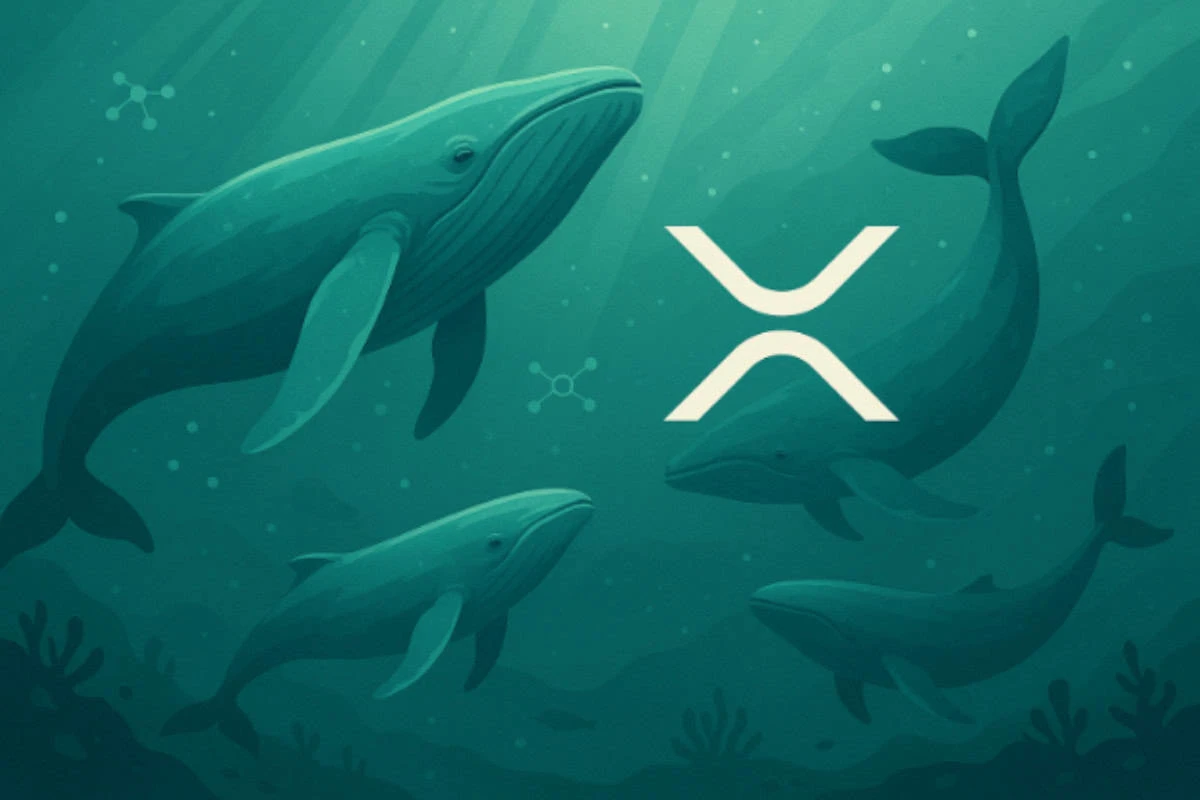 XRP Whales On The Move Again, Why Are They Accumulating RTX?
