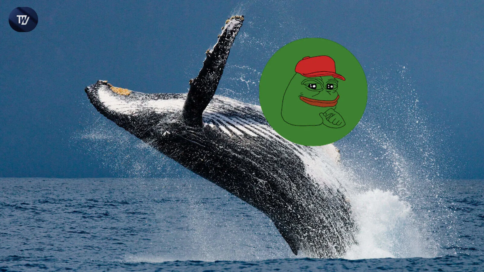 Massive PEPE Whale Transfer Sparks 11% Crash—Is A Sell-Off Looming?