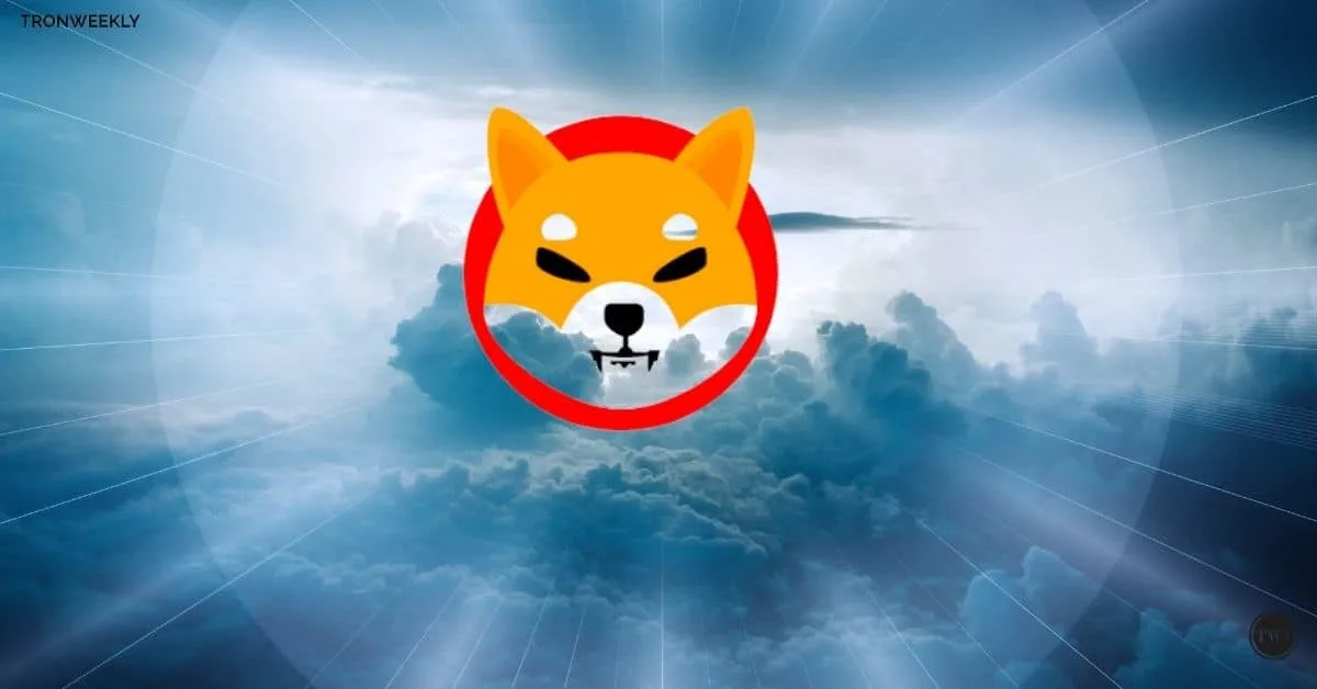 Shiba Inu Leader Breaks Silence To Applaud Shibarium Projects