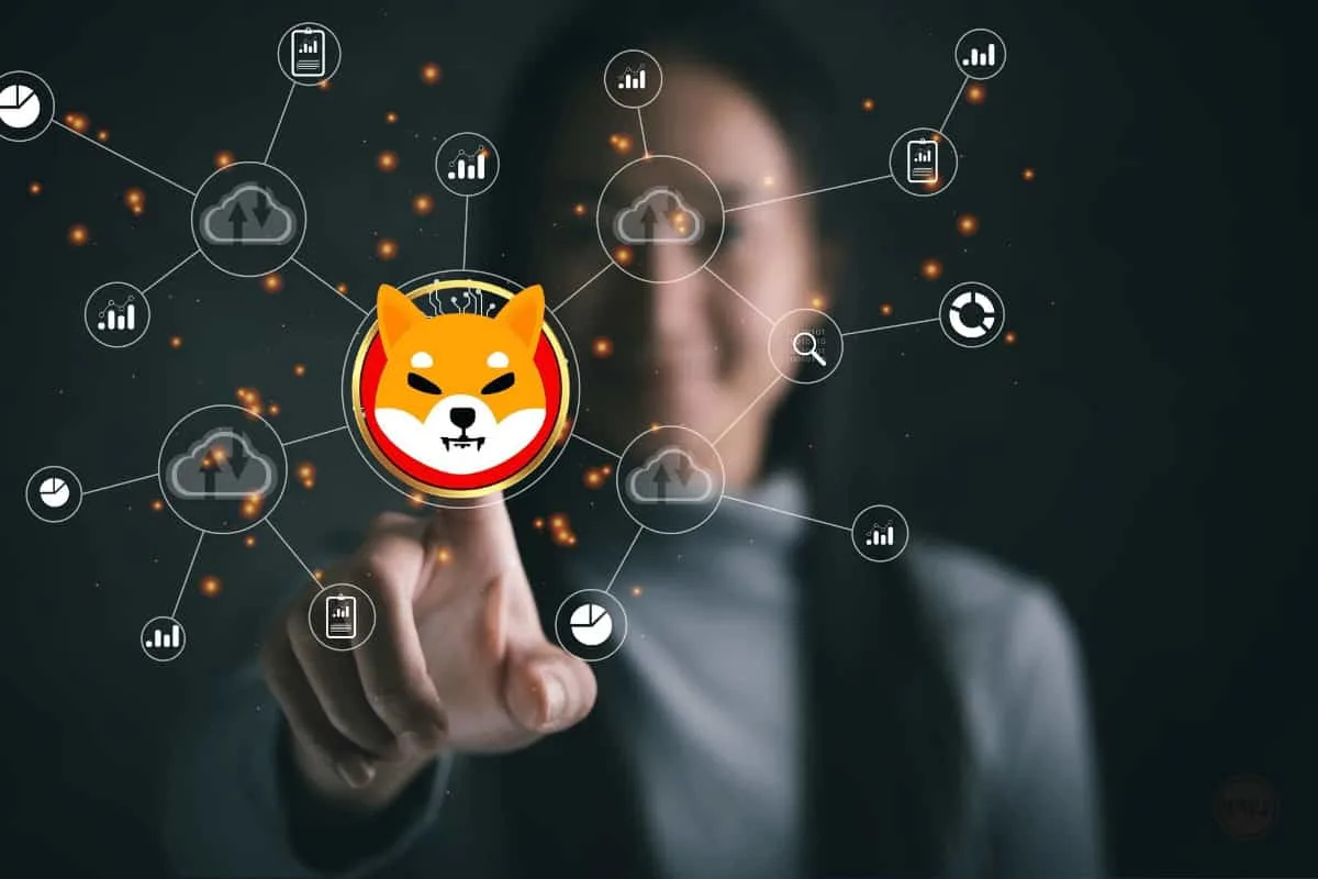 Shibarium Chronicles: Shiba Inu Co-Founder Shytoshi's Last Updates Mark ...