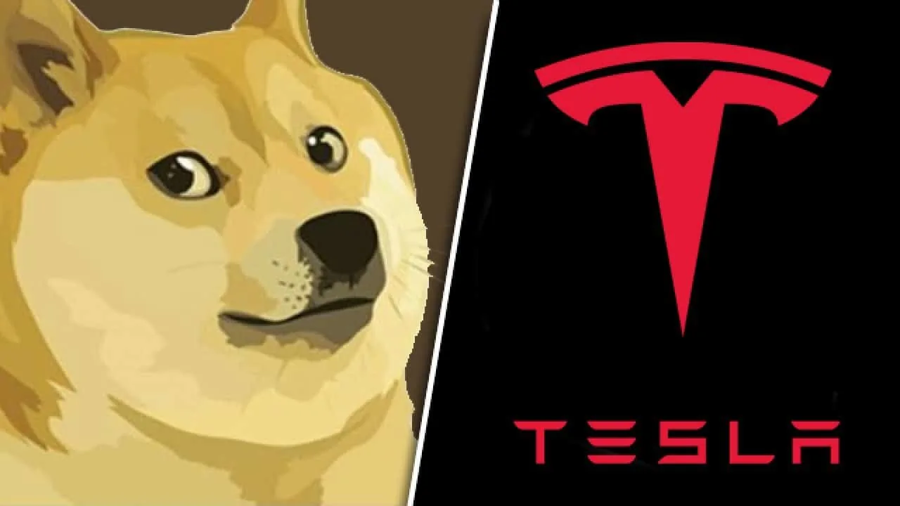 Tesla Takes DOGE Payments Mainstream As Musk Builds Hype