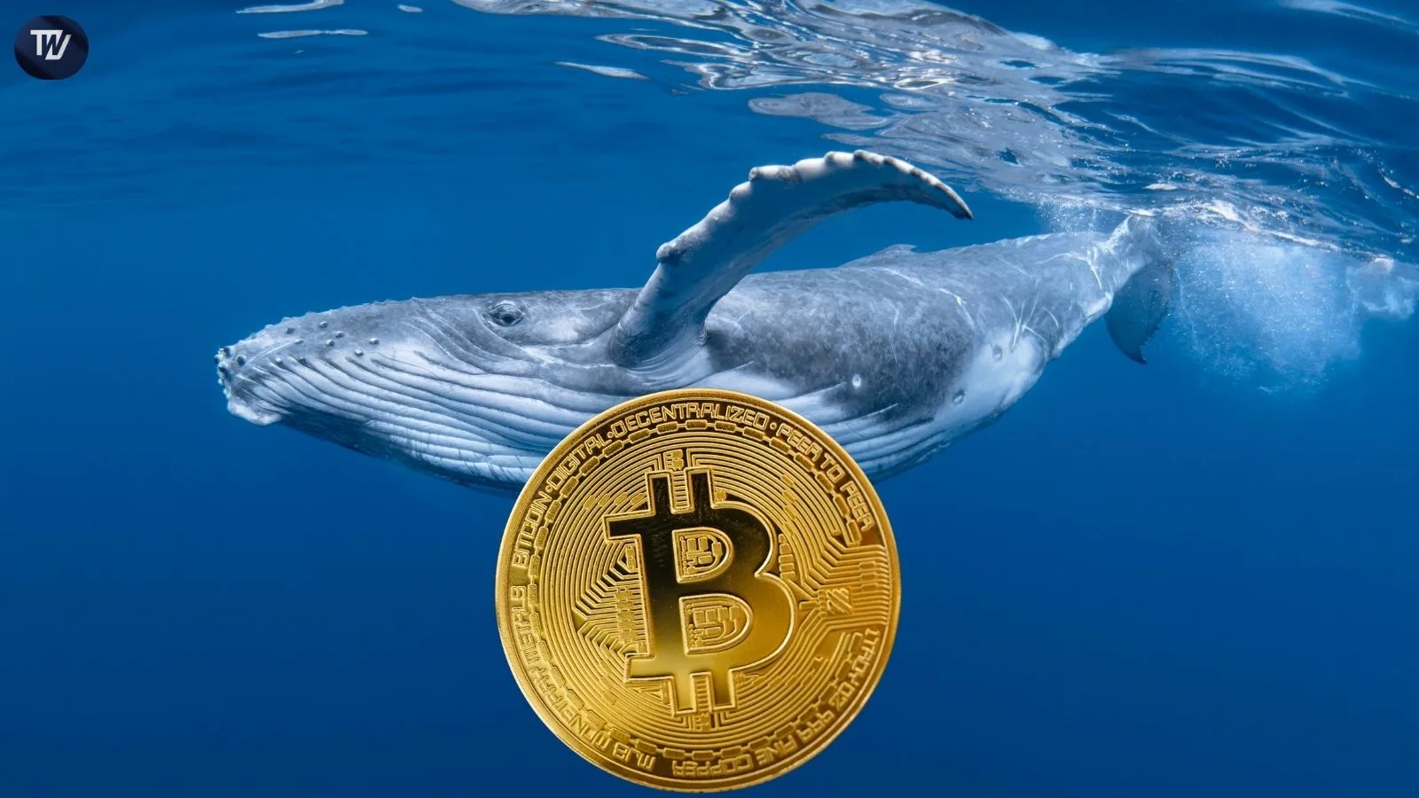 Bitcoin Whale Ignites $748M Bullish Surge