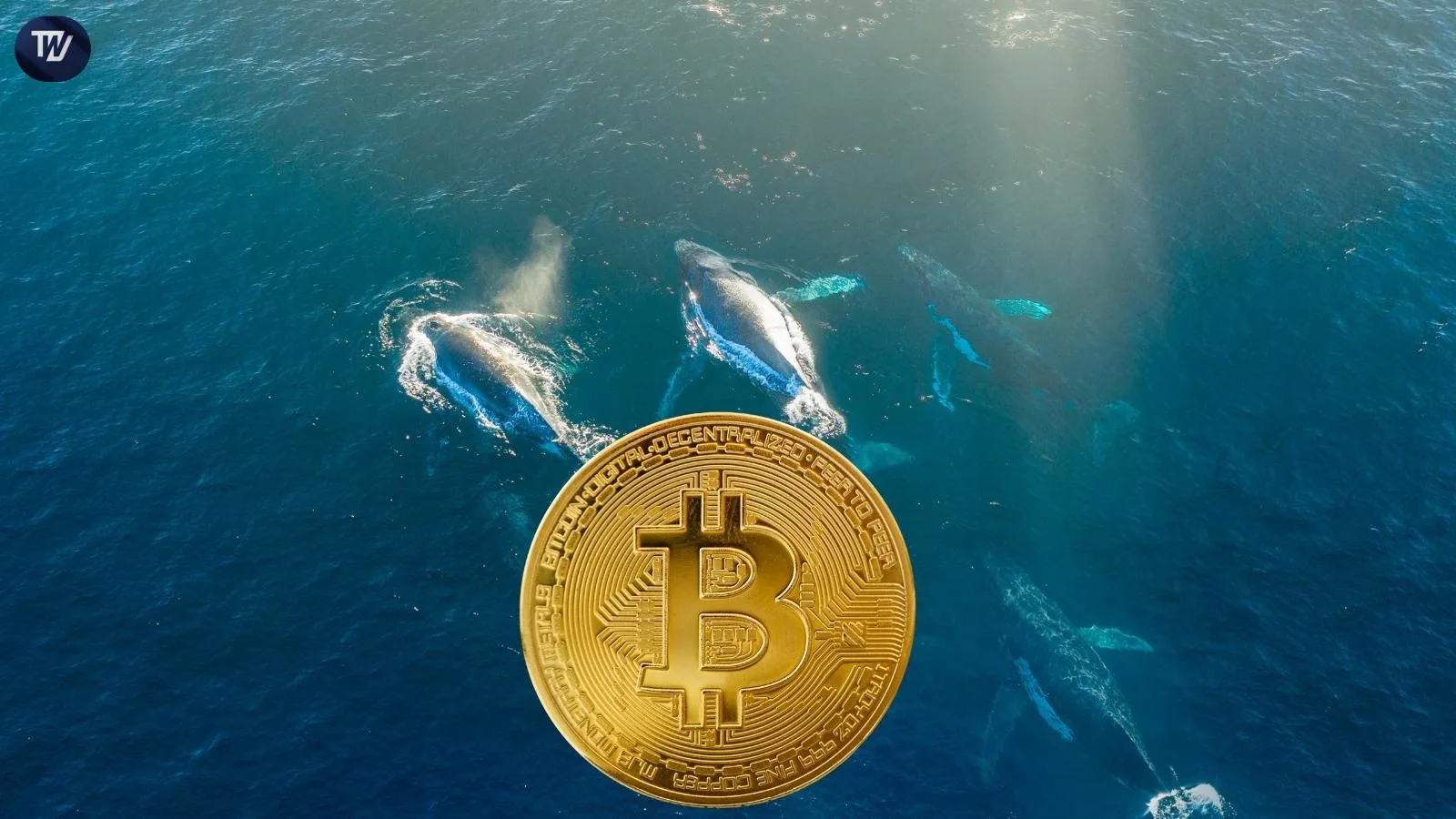 Bitcoin (BTC) Faces Rejection As Short-Term Holder Metrics Signal ...