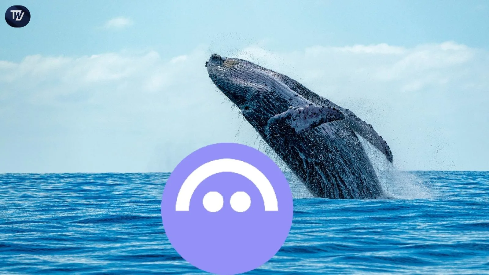 Aave V4 Audit Success And Whale Accumulation Signals A Potential Rally ...