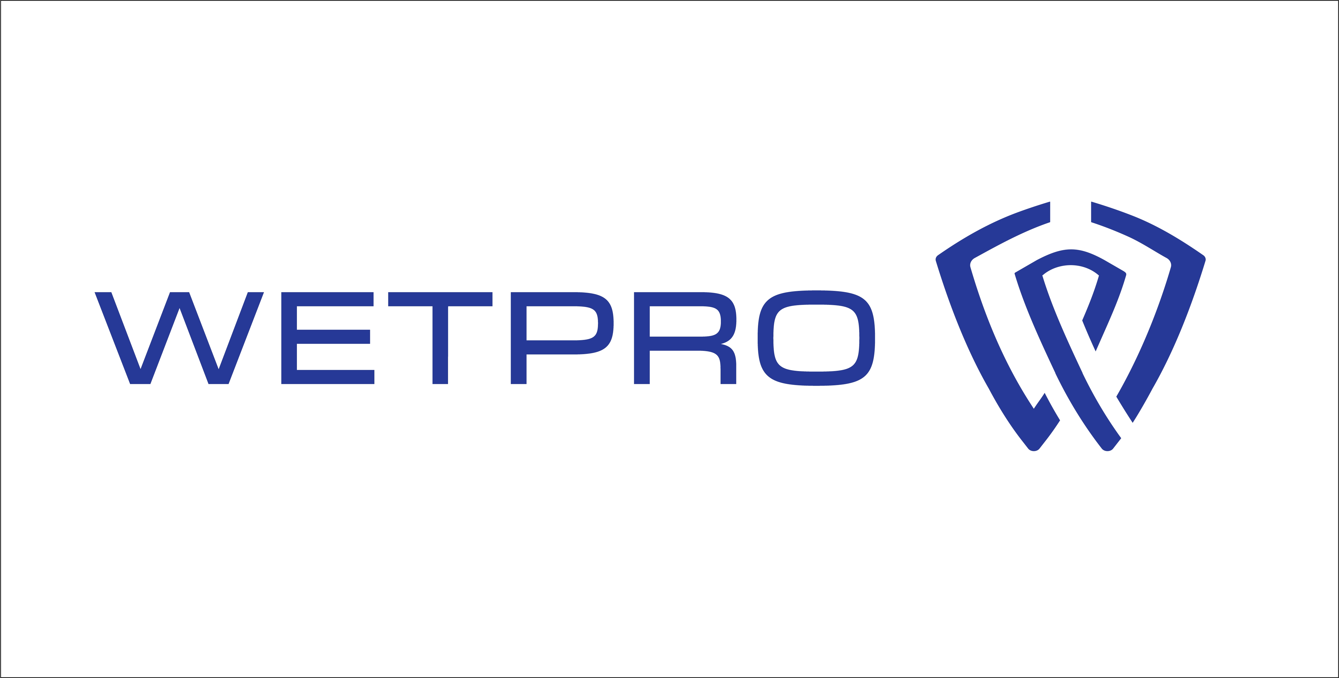 Wetpro - Coating dan PPF Makassar