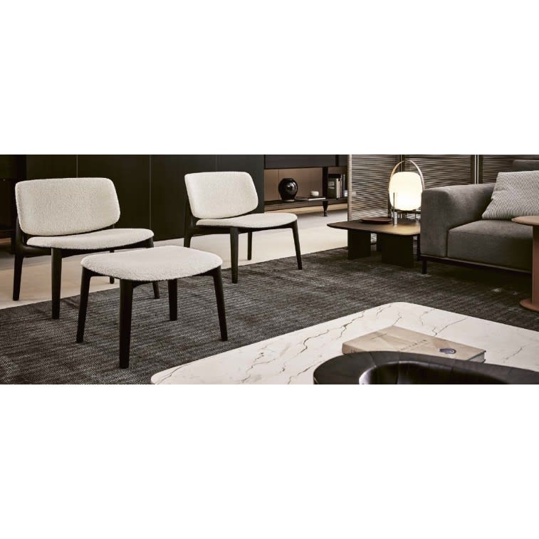 Shindo Tappeto Poliform, Acquista Online | Deplain.com