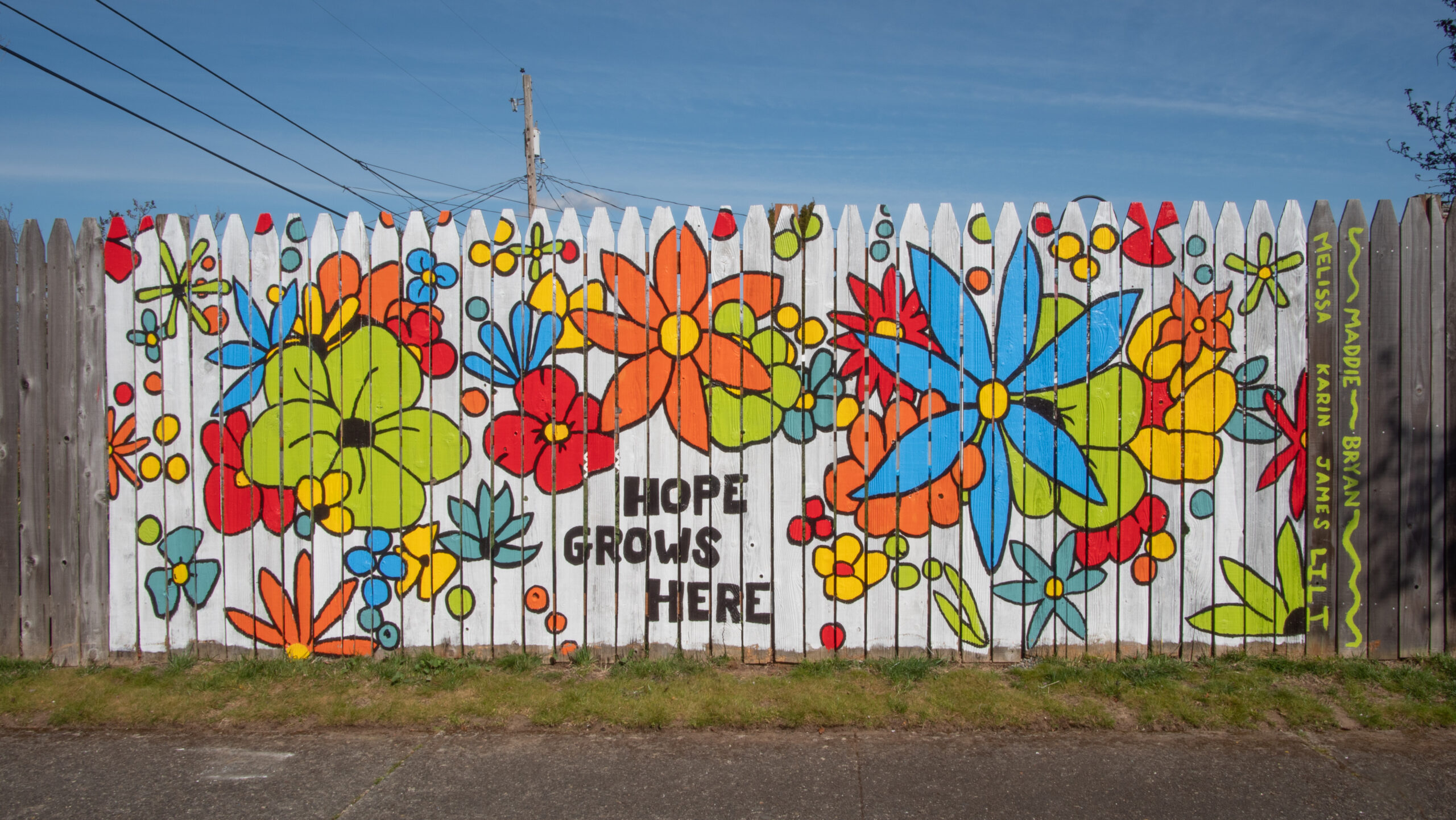 MultiCare's Hope Grows Here project blooms in windows and elsewhere ...