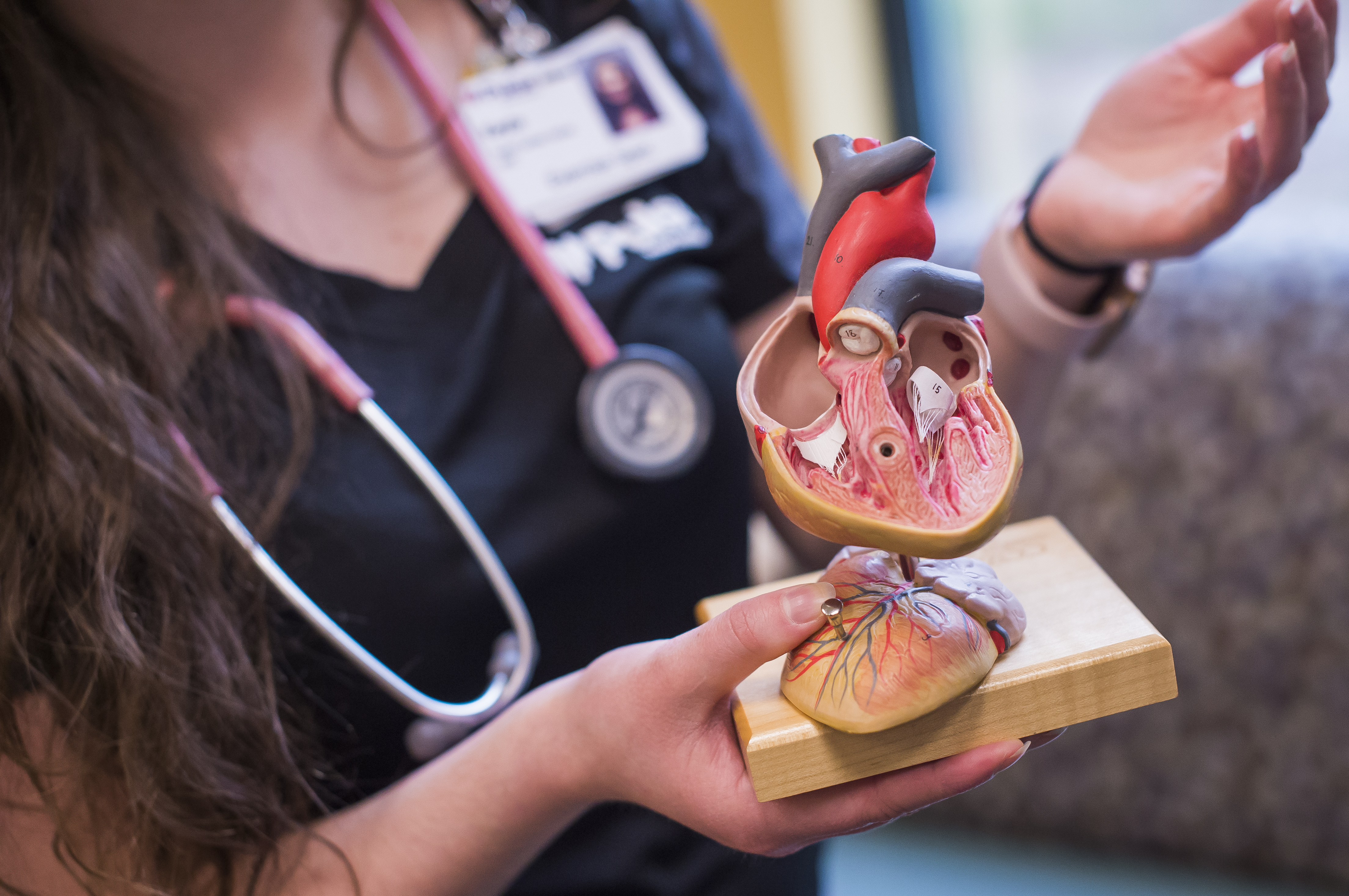 Pulse Heart Institute innovates with two new cardiac care treatments in ...