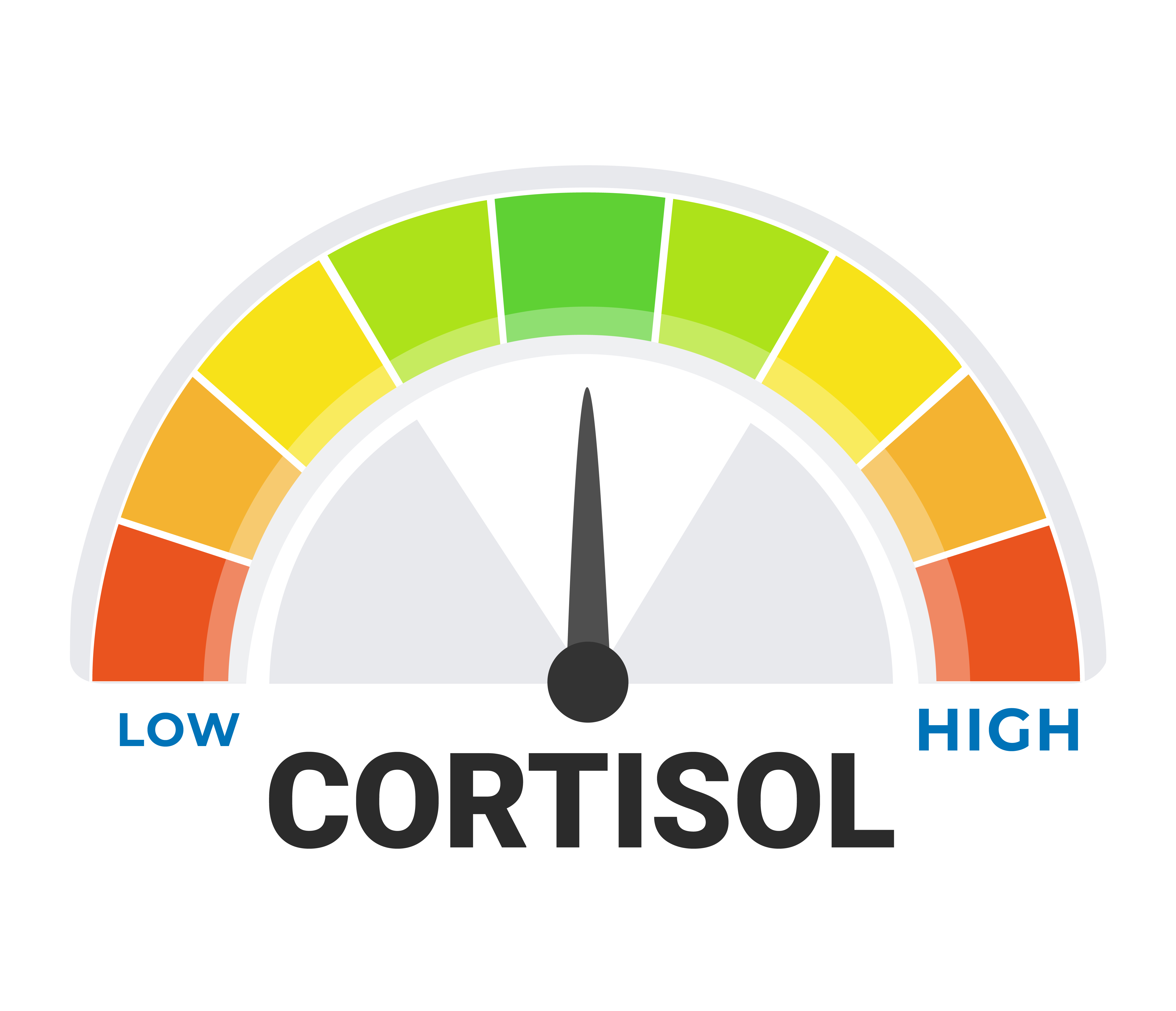 Breaking down the truth about cortisol - MultiCare Vitals