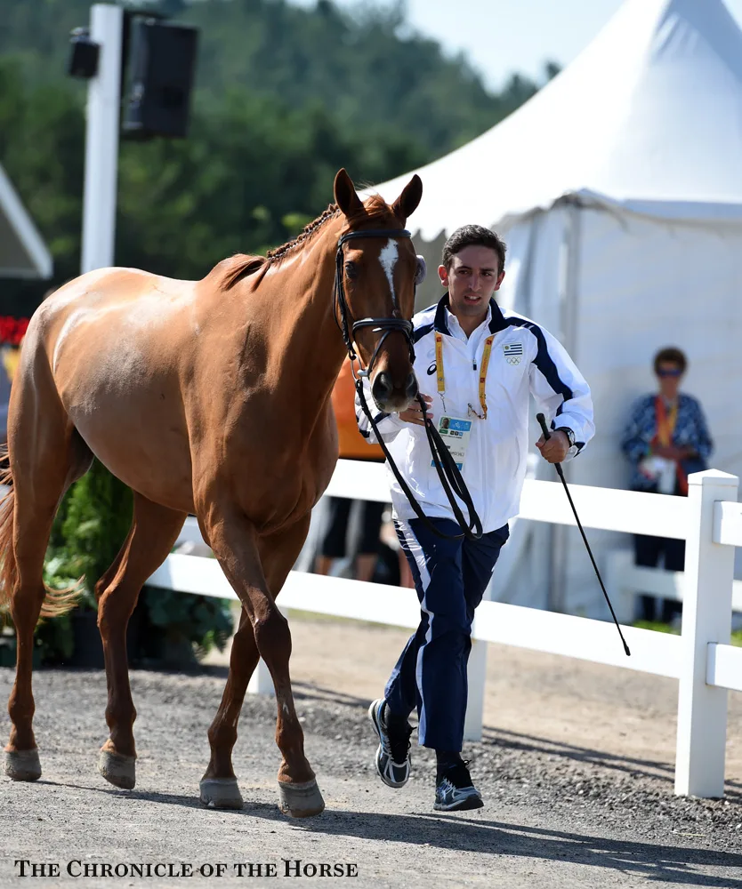 Pan American Games Second Horse Inspection - The Chronicle of the Horse