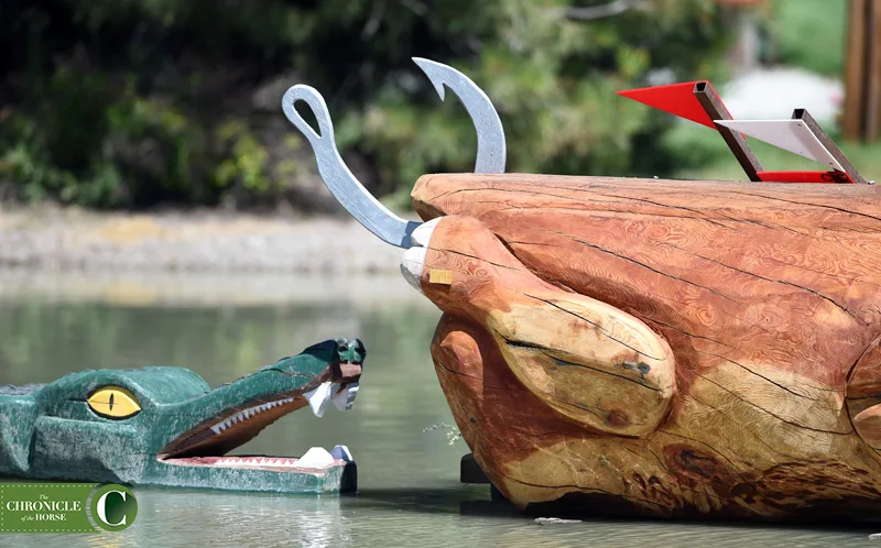 Area I Catapults To The NAJYRC CCI* Lead - The Chronicle of the Horse